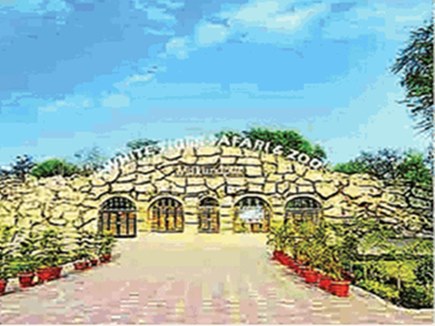 अमरपाटन में जनता से नजदीकी का लाभ मिल सकता है कांग्रेस को