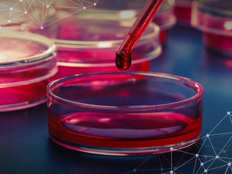 Scientists Created Blood In Lab : वैज्ञानिकों ने लैब में बनाया खून, जो ...