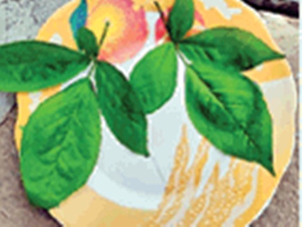 चार पत्तियों वाला बिल्व पत्र मिला तो दर्शन के लिए लगी भीड़