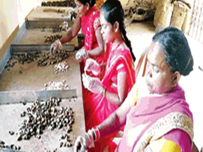 महिलाओं ने बालेंगा को बना दिया कुटीर उद्योग का हब, देखें वीडियो ...