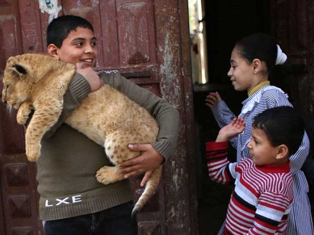 उसके बच्‍चे दिनभर शावकों के साथ खेलते...