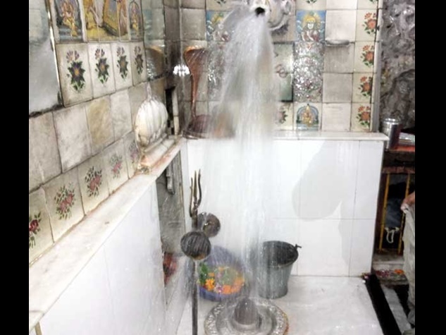 वीडियोः नाग-नागिन ने की भोलेबाबा की आरती, बजाई बीन और ढोलक