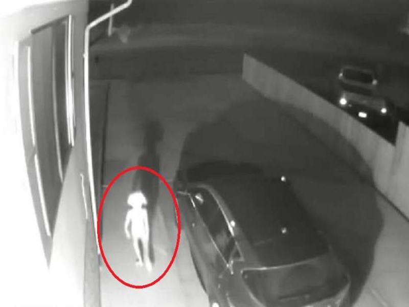 CCTV में कैद हुआ ये अजीब सा प्राणी, तेजी से Viral हो रहा है Video ...