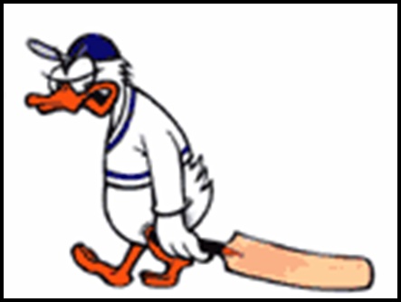 कभी सोचा है क्रिकेट में शून्य पर आउट होने को Duck क्यों कहते हैं?