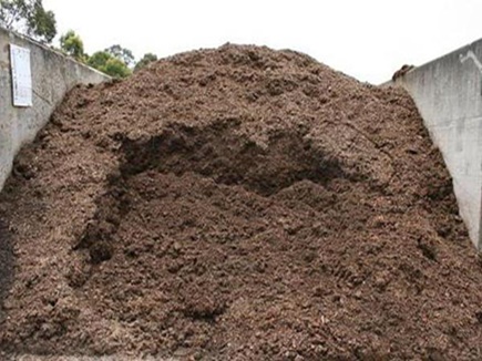 गोबर से बन रही है रेडियशन से बचाव वाली ईंट, प्लास्टर और टाइल - Radiatin ...