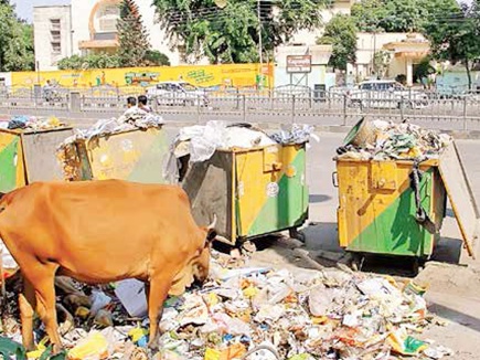 स्वच्छ भारत मिशन : 24 घंटे में कचरा उठाने की व्यवस्था तक नहीं