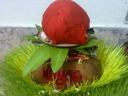 नवरात्र में इसलिए उगाए जाते हैं 'जवारे', माने जाते हैं सुख-समृद्धि का ...