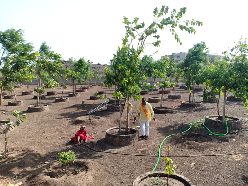 World Environment Day 2019 : 65 त्रिवेणी के साथ 300 पौधे रोपे और बच्चों ...