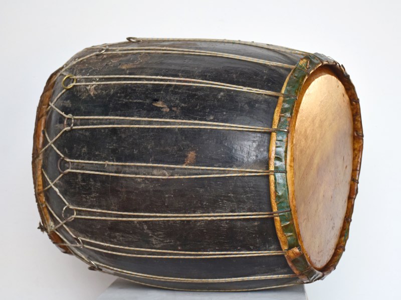 मानव संग्रहालय में इस सप्ताह प्रादर्श के रूप में वाद्ययंत्र 'ढांक या ...