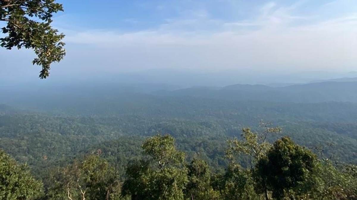 टाइगर रिजर्व का टंगली पठार, यहां से गजब दिखती है हरियाली - Tangli ...
