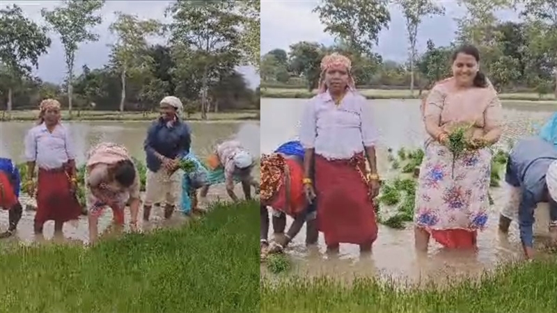 Rajnandgaon: विधायक छन्नी साहू ने मजदूरों संग की धान की रोपाई कहा ...