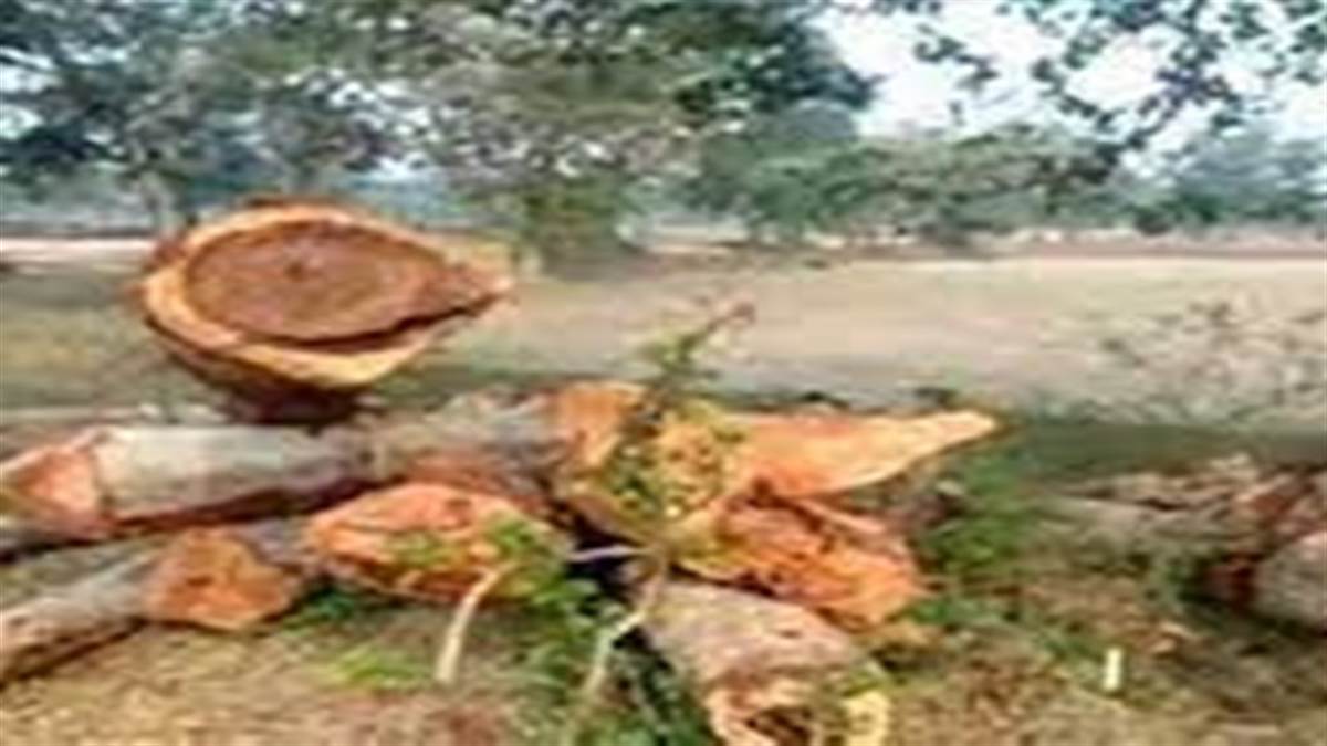 बिलासपुर: हसदेव बचाओ आंदोलन के समर्थन में ज्यादा संख्या में जुट रहे लोग ...