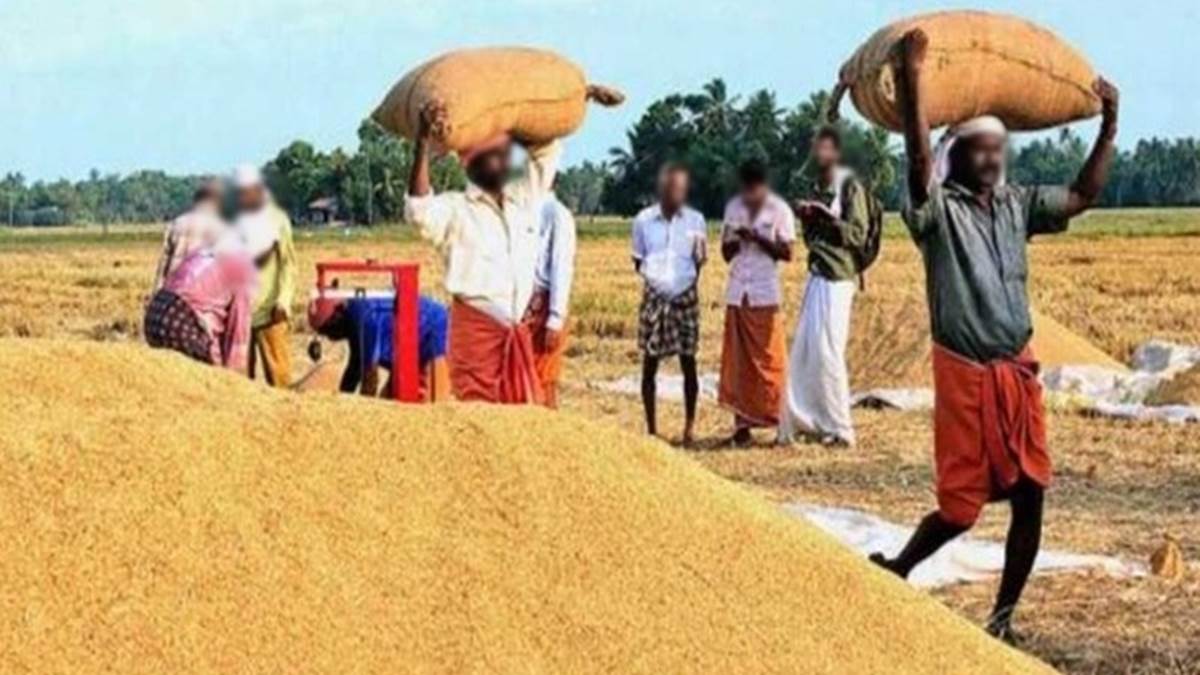 Paddy Purchase News: बिलासपुर में चार दिन बाद केंद्रों में आज से फिर ...