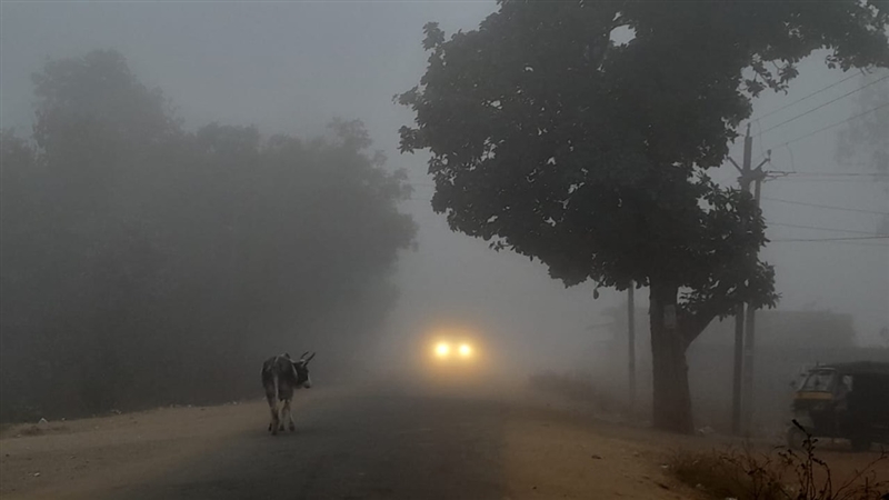 Shahdol News : सुबह से शहडोल में छाया रहा कोहरा पारा लुढ़का - Fog ...