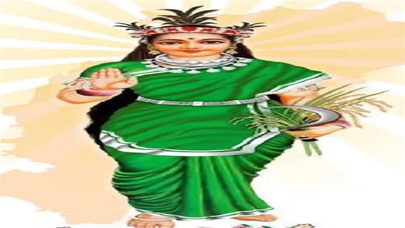 संभागायुक्त व कलेक्टर कार्यालय में लगेंगी छत्तीसगढ़ महतारी की तस्वीर ...