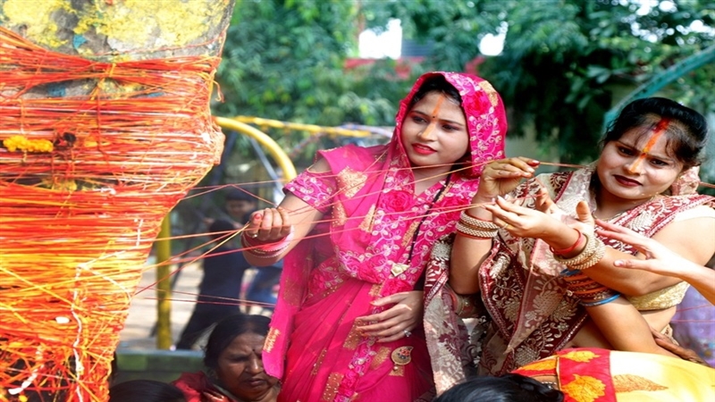 Amla Navami: अक्षय नवमी पर महिलाओं ने की आंवला वृक्ष की पूजा उद्यानों ...