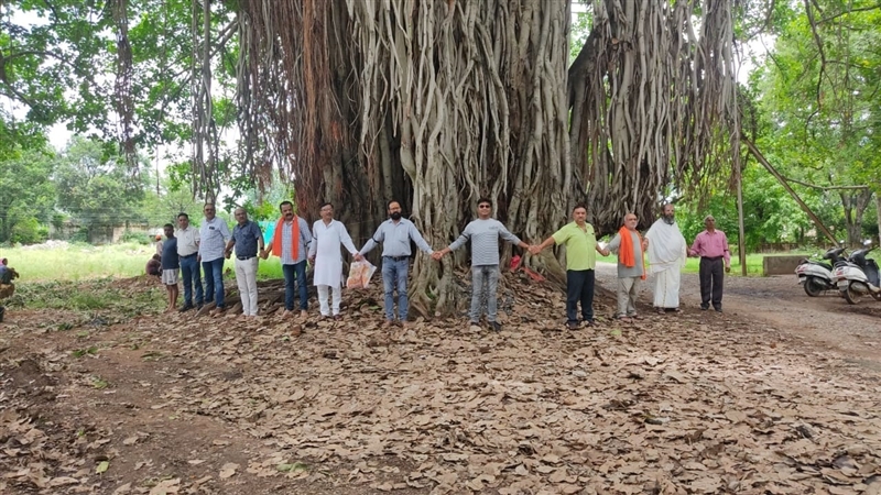 कंपोजिट बिल्डिंग बनाने काटे रहे हैं पुराने पेड़ - Old trees are being ...