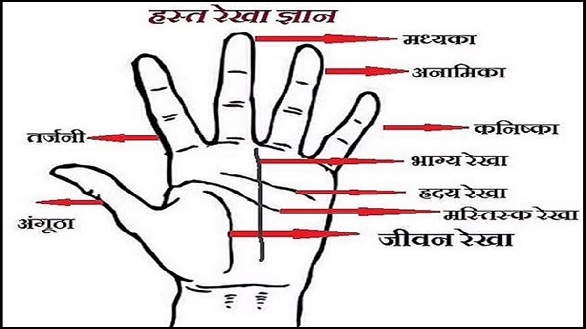 Palmistry: अपनी हथेली में चेक करें ये निशान, किस्मत चमका देती है हाथ की ...