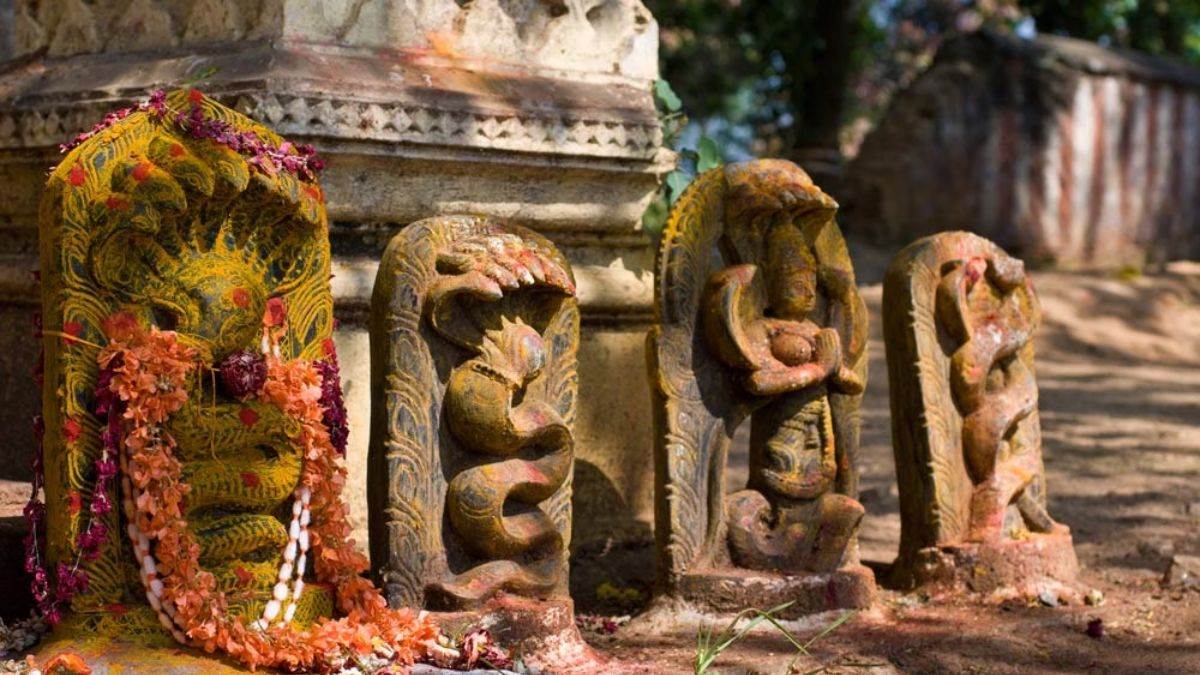 Nag Panchami 2023: नागपंचमी पर होती है इन 8 नागों की पूजा, पढ़िए इनके ...