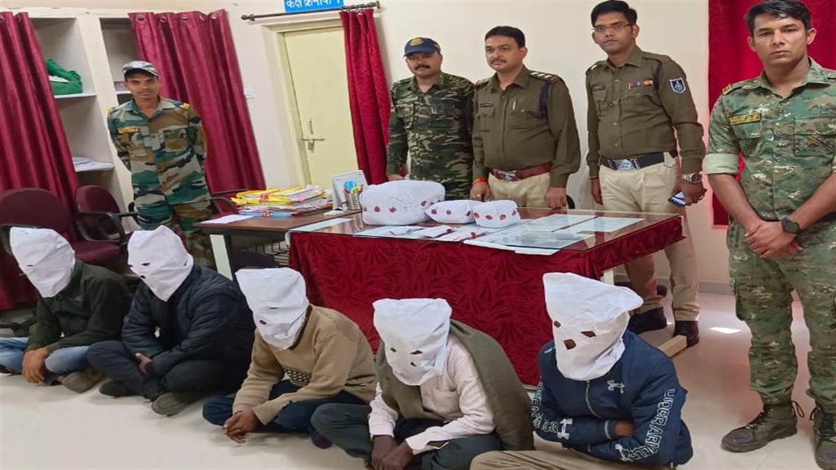 Balaghat News : 25 किलो 300 ग्राम गांजा के साथ डोंगरमाली सरपंच समेत अन्य दस हुए गिरफ्तार ...