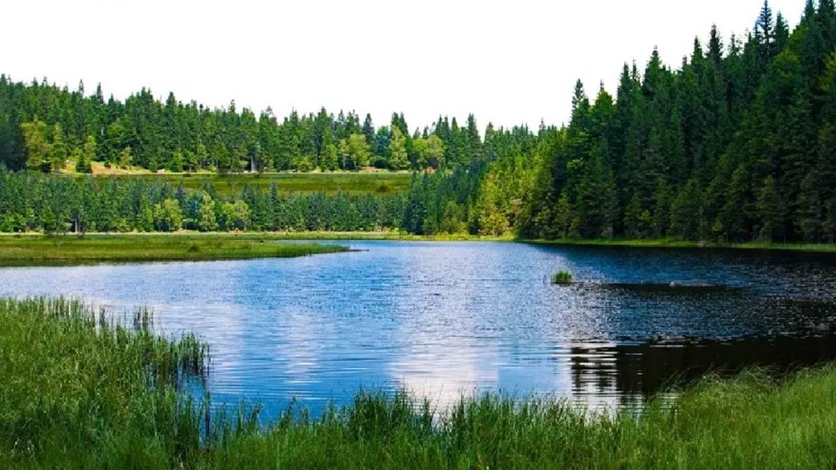 Amrit Sarovar: मध्‍य प्रदेश में अमृत सरोवर बनाकर किया जा रहा जल एवं ...