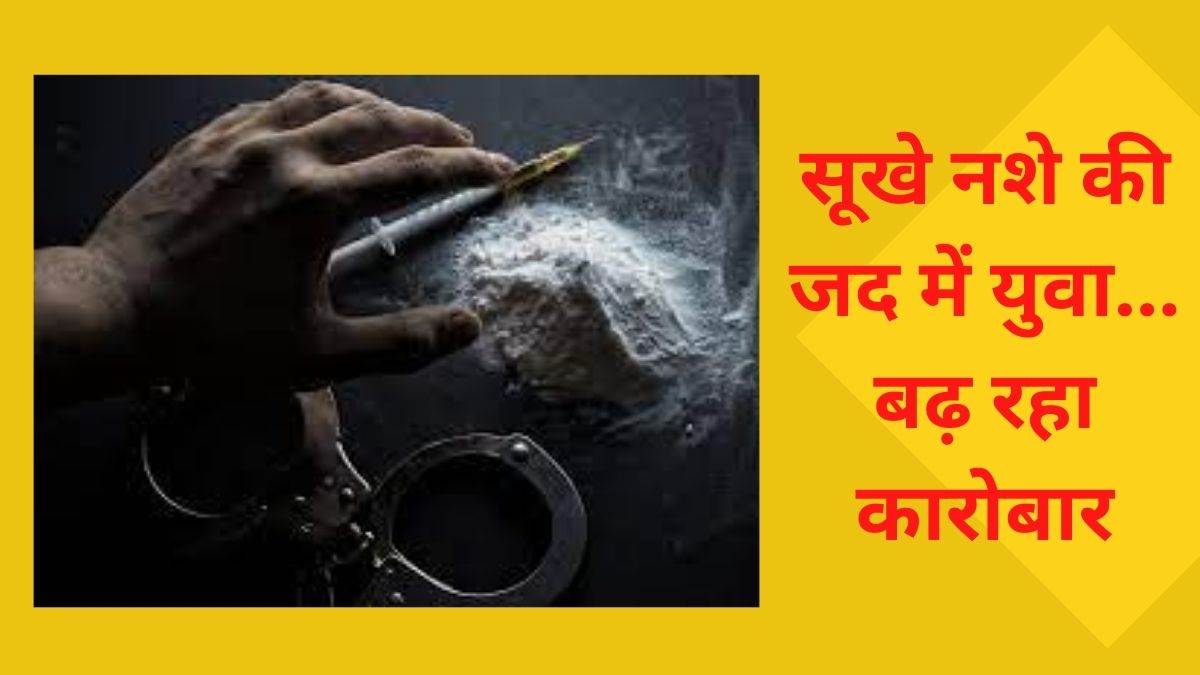 Drugs Growing Business: ड्रग्स, चरस और गांजा की बढ़ रही लत, जानिए ...