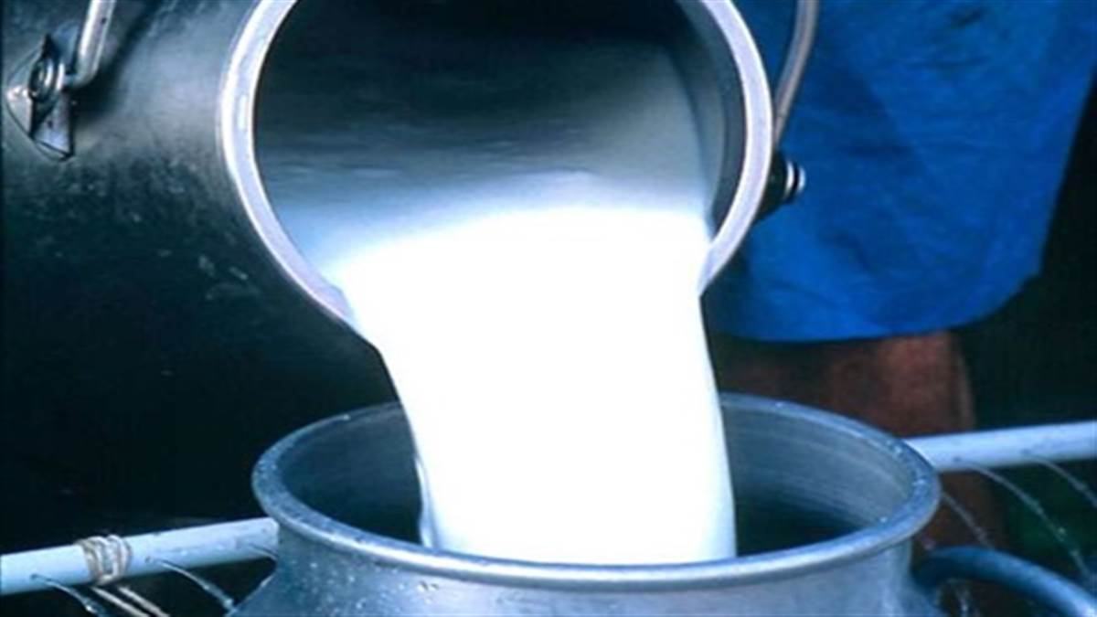 Raw Milk Side Effect: जानलेवा बीमारियों से बचना है तो भूलकर भी न करें कच्चे दूध का सेवन - Raw ...