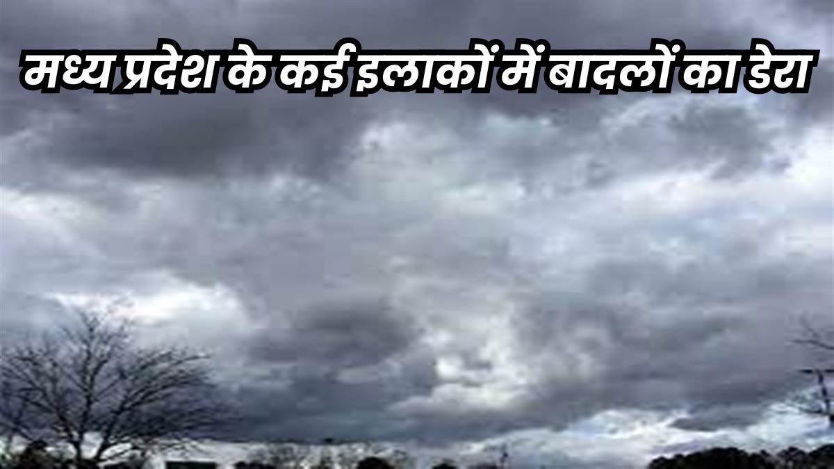 Weather of MP: मध्य प्रदेश के डिंडौरी, छिंदवाड़ा, सिवनी, दमोह में बने ...