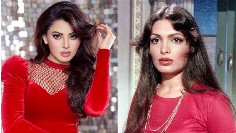 Parveen Babi Biopic: परवीन बाबी की बायोपिक में लीड रोल निभाएंगी उर्वशी ...