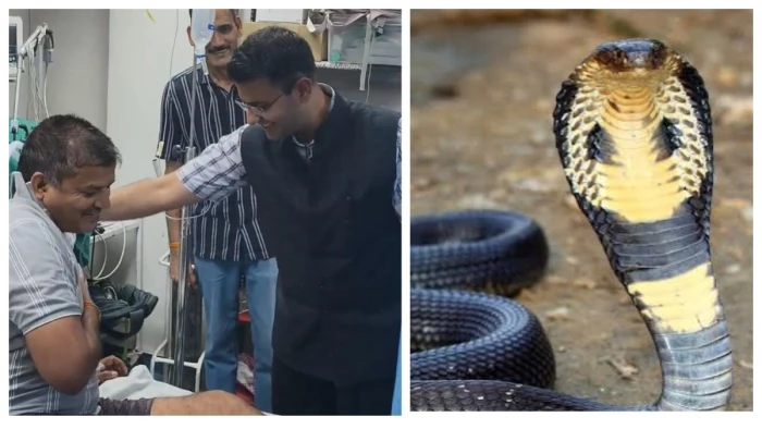 बालाघाट में वाटर कूलर में छिपे सांप ने सीआरपीएफ जवान को डंसा, अगले 48 ...