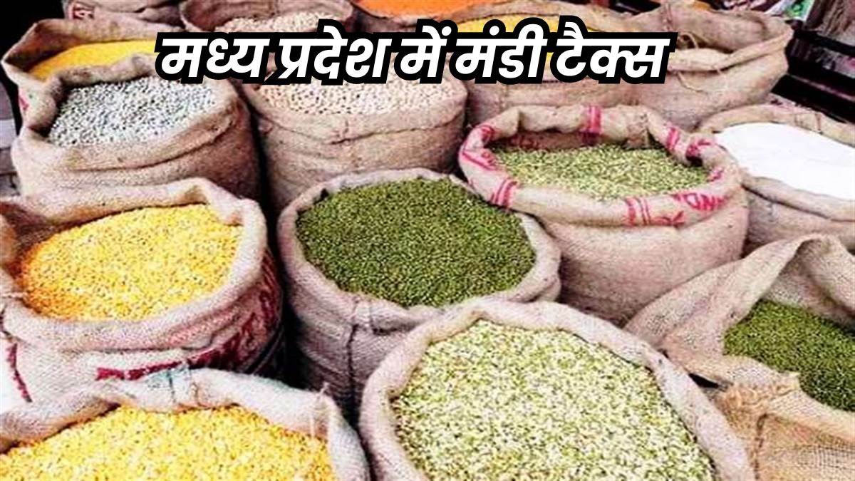 Mandi Tax in MP: बजट में मंडी टैक्स में नहीं मिली राहत, बार-बार की ...