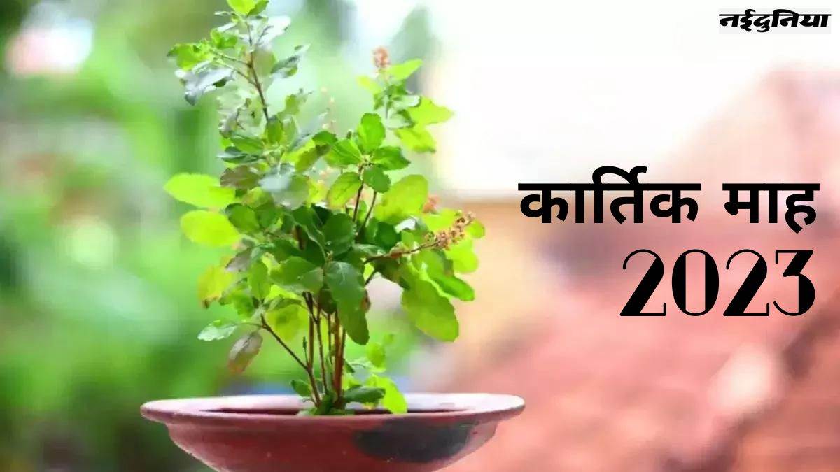 Kartik Mas 2023: कार्तिक मास में तुलसी पूजा कर रहे हैं, तो इन बातों का ...