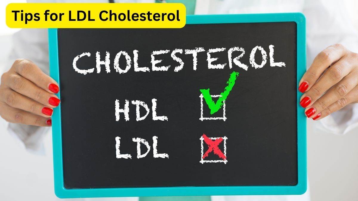 LDL Cholesterol: खराब कोलेस्ट्रॉल के कारण सर्दियों में बढ़ जाता है ...