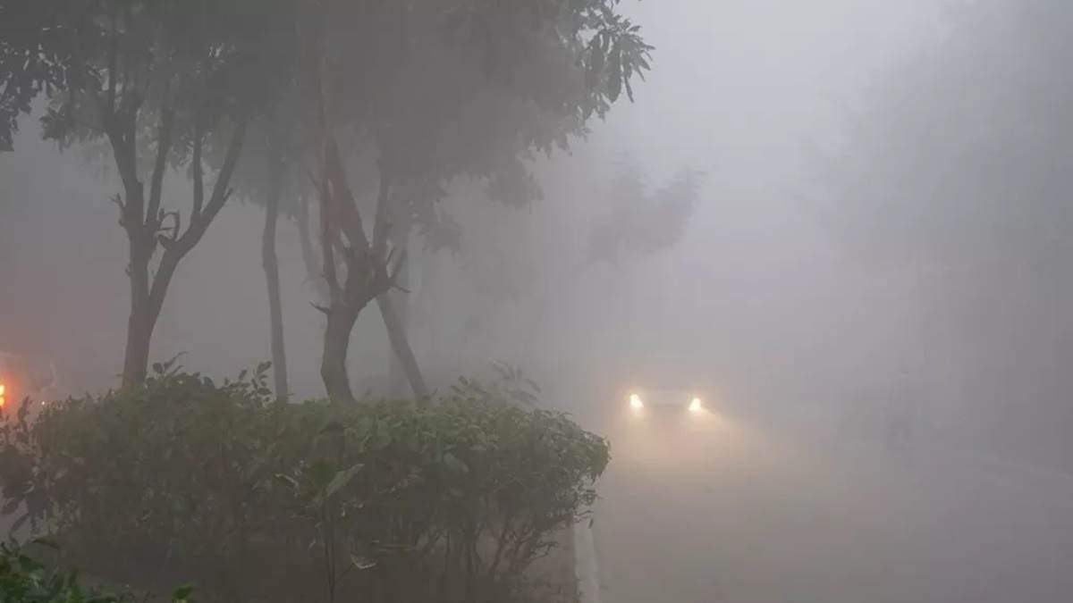 MP Weather Alert: छतरपुर और दतिया में शीतलहर चली, अब बढ़ सकता है रात का ...