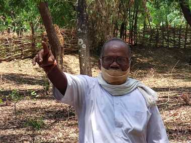 ट्री मैन ने 50 साल में 70 हेक्टेयर पर खड़ा किया जंगल - Tree man raised ...