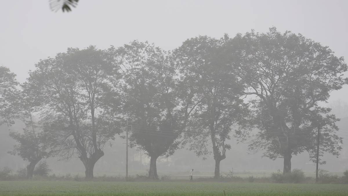 Cold Day In Indore: इंदौर में 1500 मीटर पहुंची दृश्यता, तापमान 14 ...