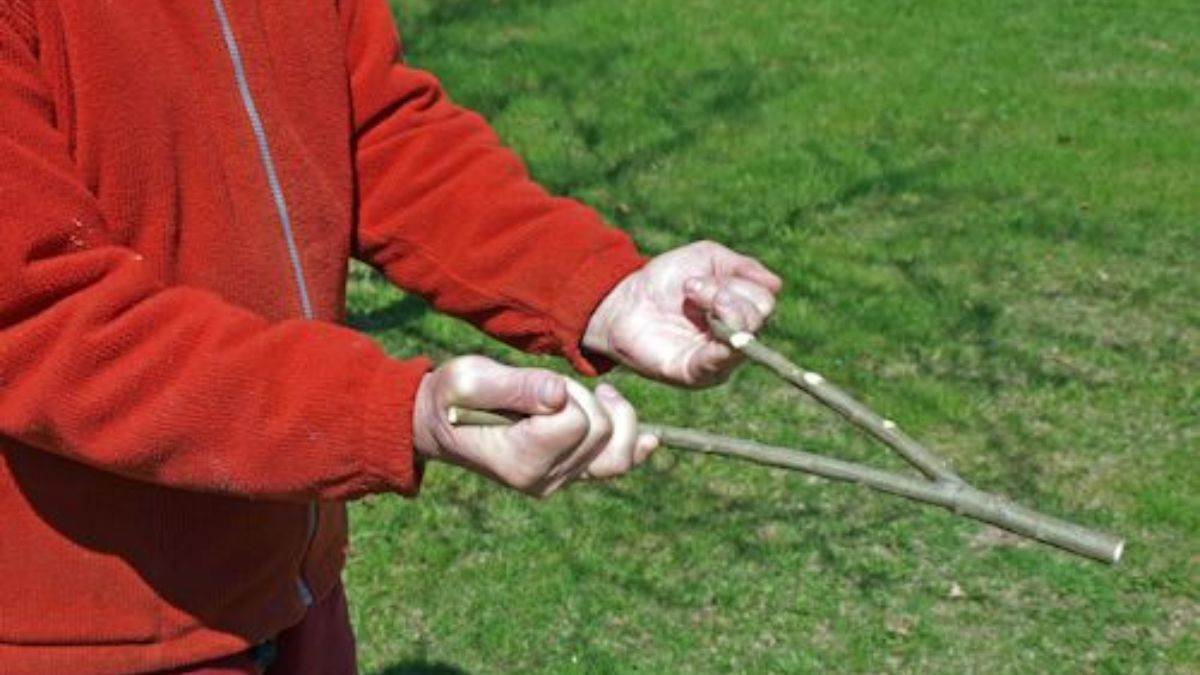 Water Crisis: बढ़ते जल संकट के बीच जानें क्या है ‘वाटर डाउजिंग राड्स ...