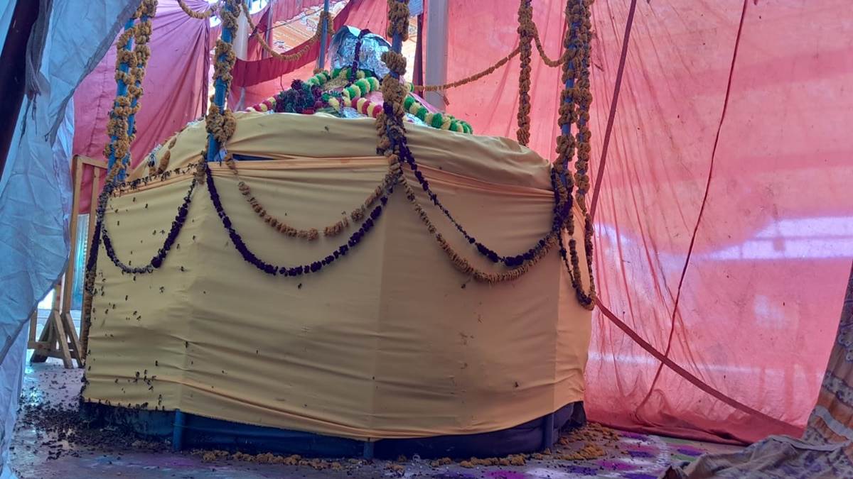Bhind News: 101 क्विंटल के महालड्डू से डाक्टर हनुमान को लगाया भोग