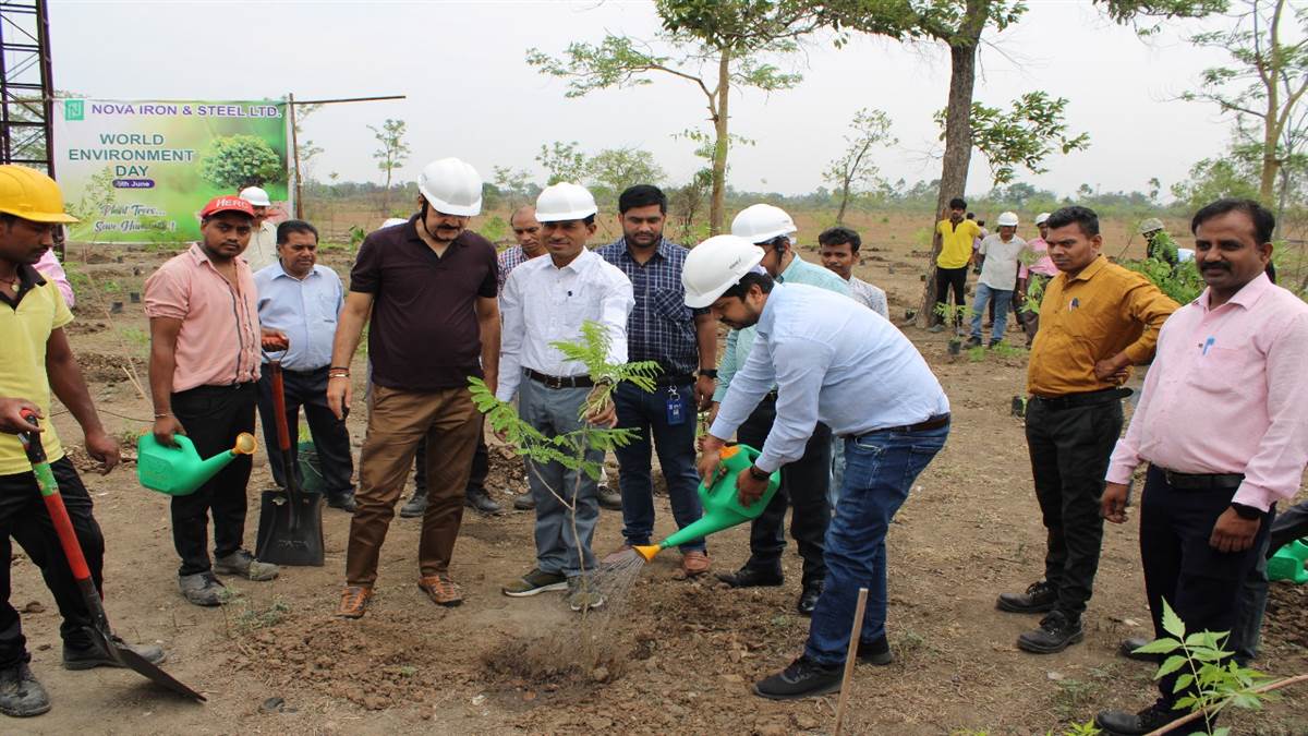 पौधे रोपकर बचाने का लिया गया संकल्प - Pledge taken to save trees by ...