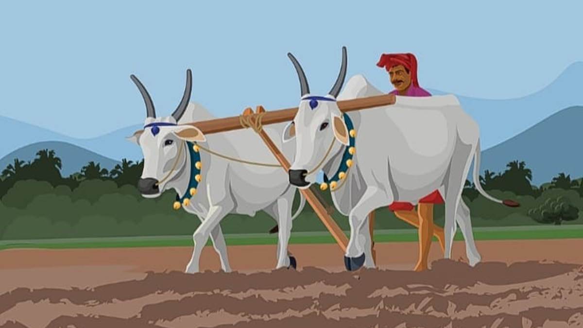 Bilaspur News: खाद बीज की समस्या है तो टोल फ्री में करें काल, समस्या का ...