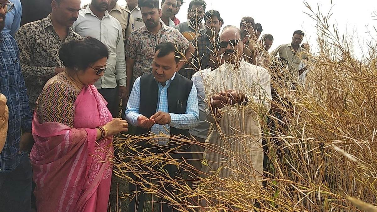 Vidisha News : बारिश और ओलों से खेतों में बिखरी किसानों की उम्मीदें ...