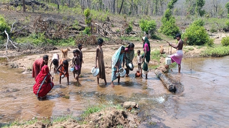 Ambikapur News : नदी का पानी पीने मजबूर हैं पंडो जनजाति के लोग - People ...