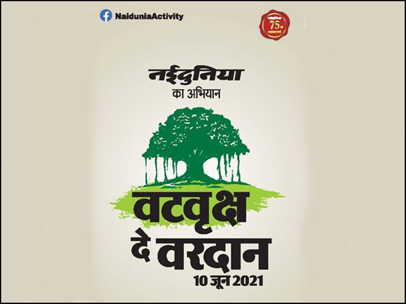 Naidunia Vatvruksh De Vardan: बरगद के समान ही आम और गूलर में भी नहीं ...