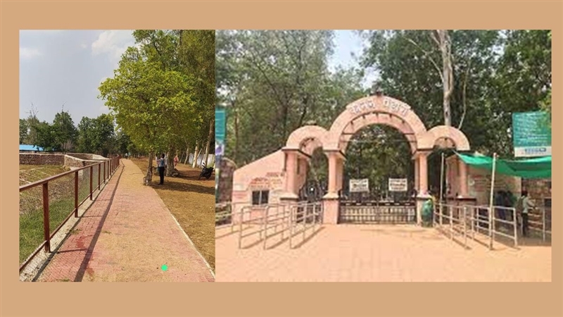 Bilaspur Kanan Pendari Zoo News: कीचड़ से बचेंगे पैर आंखों को सुकून ...