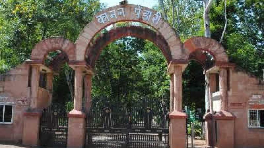 Kanan Pendari Zoo: अब इस दिन कानन पेंडारी जू का दल शुतुरमुर्ग लेने ...