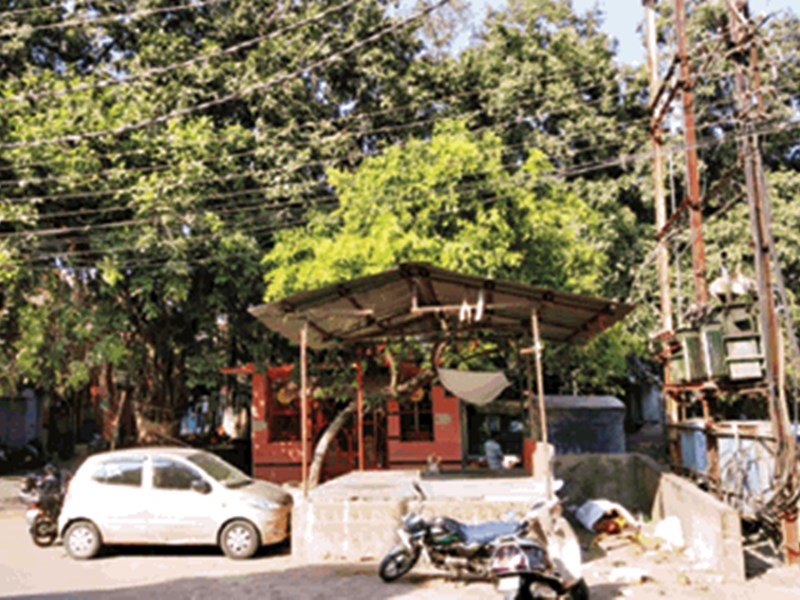 Vatvruksh in Raipur : डेढ़ सौ साल पुराना रायपुर का वटवृक्ष कहलाता है ...