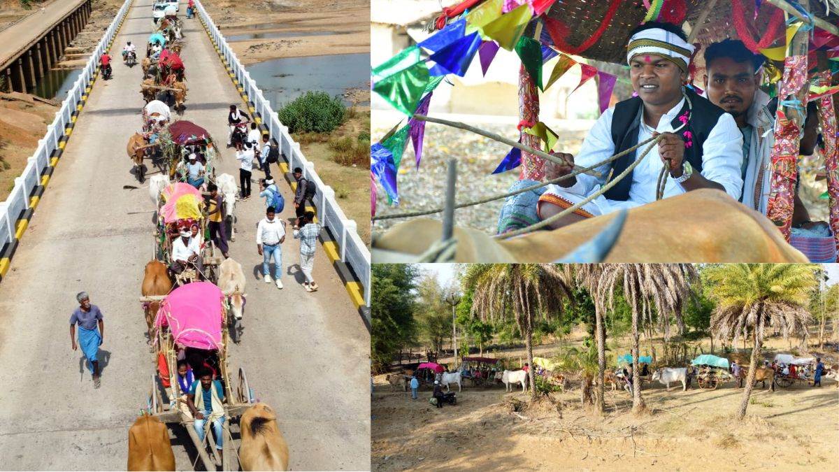 अनोखी शादी: हेलीकाप्टर के जमाने में न घोड़ा न गाड़ी, परंपराओं को जीवित ...