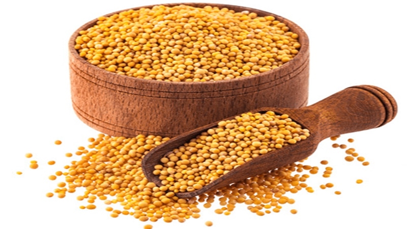 Peeli Sarson Ke Upay: पितृ दोष से बचाएंगे पीली सरसों के उपाय जानिए इससे ...