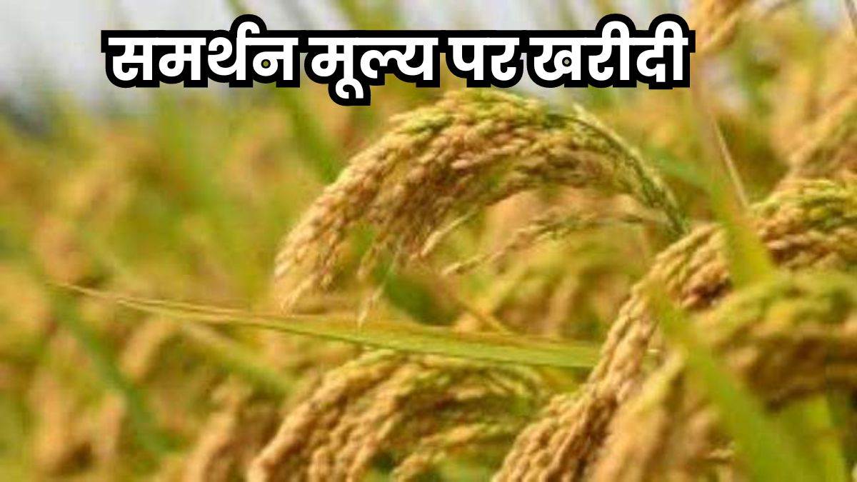 Samarthan Mulya: समर्थन मूल्य पर धान, ज्वार एवं बाजरा उपार्जन के लिए ...