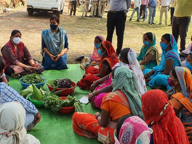 Rajnandgaon News : कृषि उत्पादन आयुक्त ने पेड़ के नीचे लगाई महिलाओं की ...